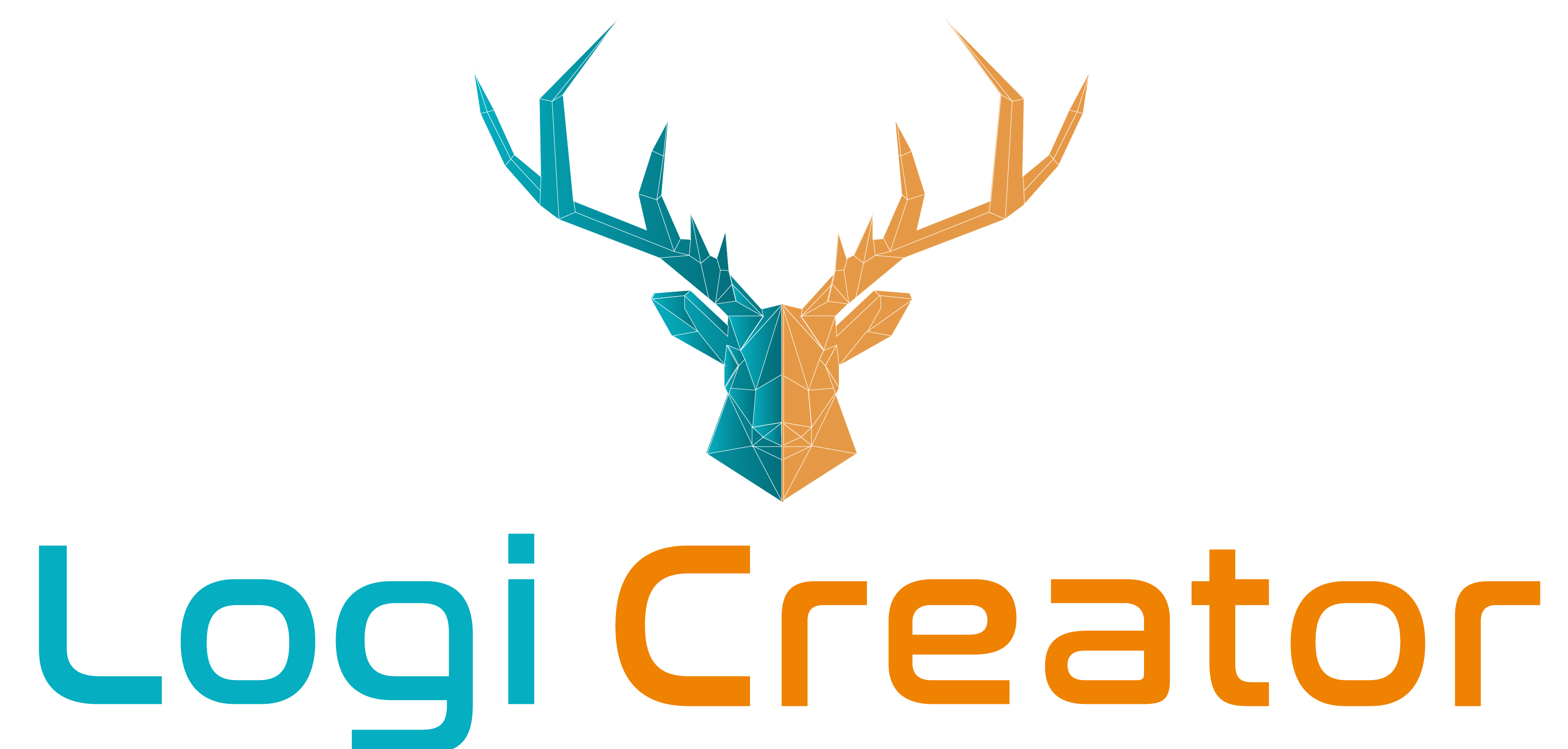 Consulting - Agence informatique - Logi Creator